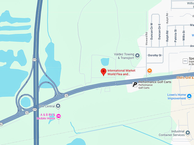 16. international market world map