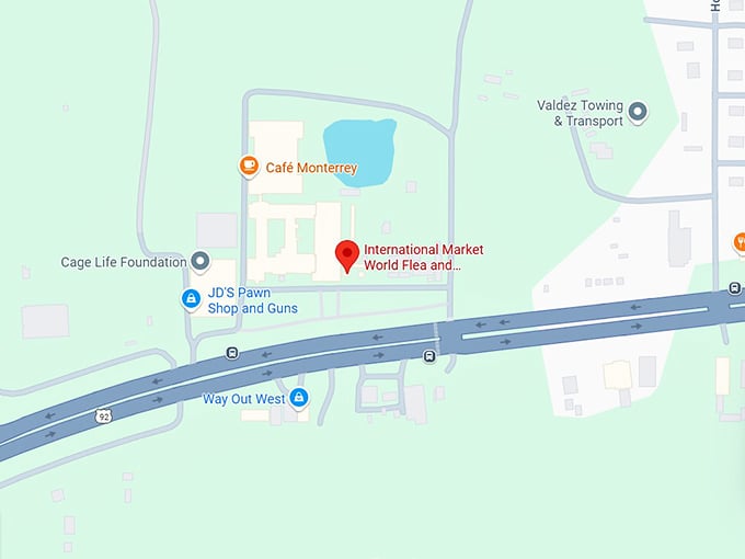 16. international market world map