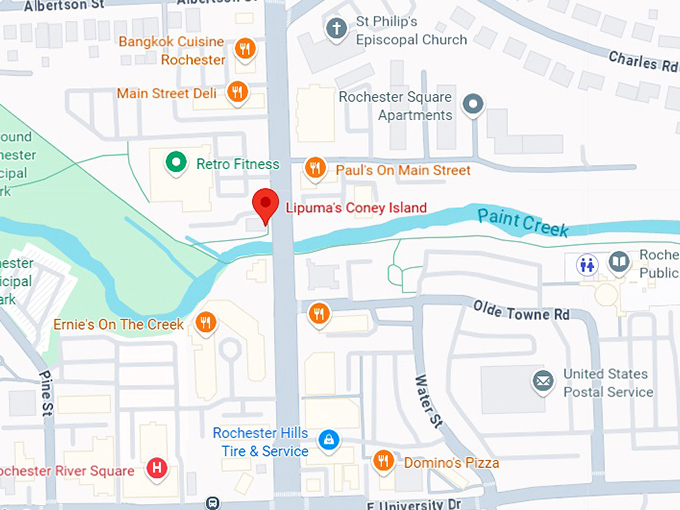 16. lipuma's coney island map