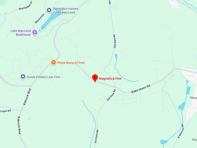 16. magnolia & pine map