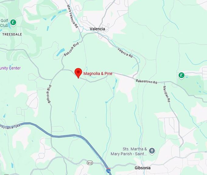 16. magnolia & pine map
