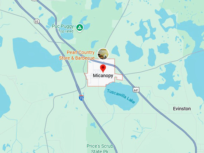 16. micanopy map