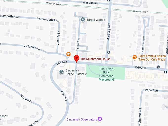 16. mushroom house map