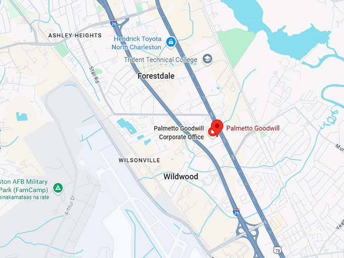 16. palmetto goodwill map