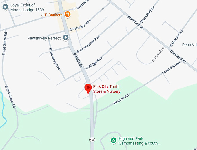 16. pink city thrift store & nursery map