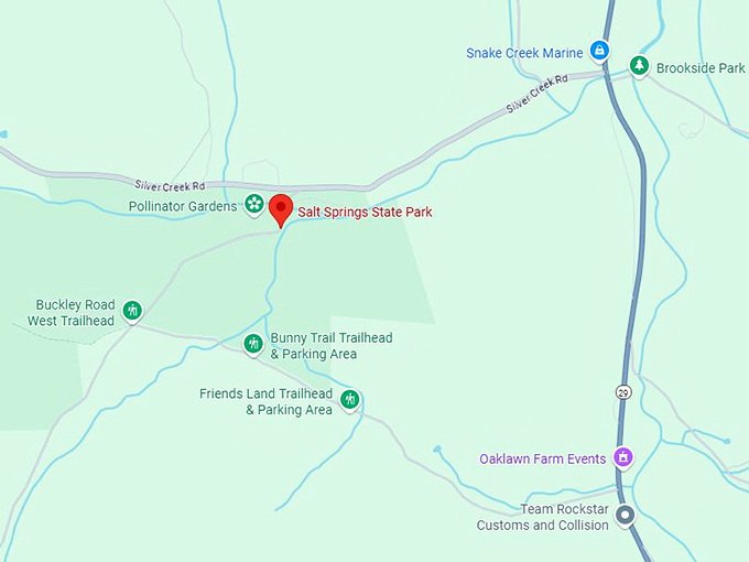 16. salt springs state park map