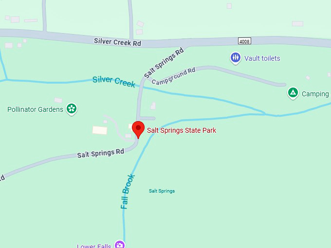 16. salt springs state park map