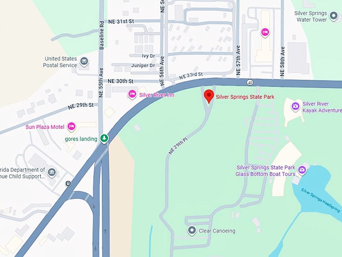 16. silver springs state park map