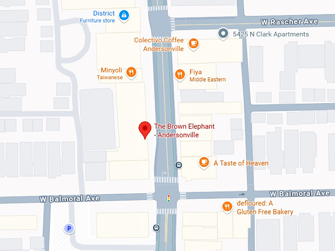 16. the brown elephant andersonville map