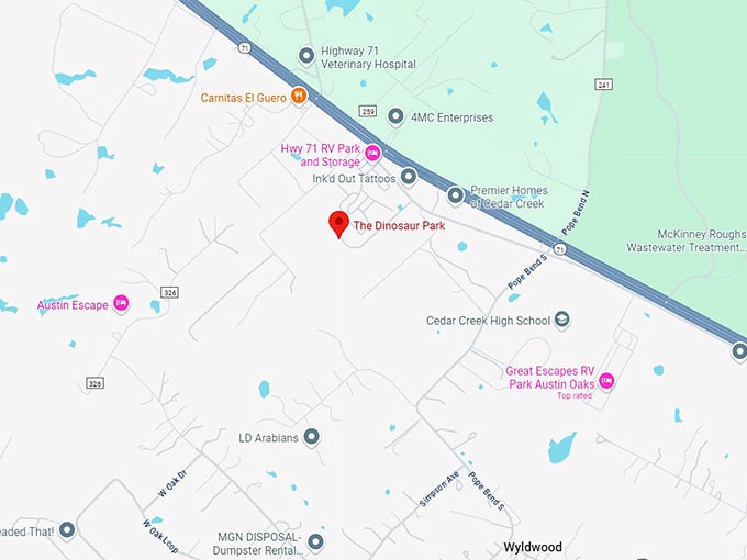 16. the dinosaur park map