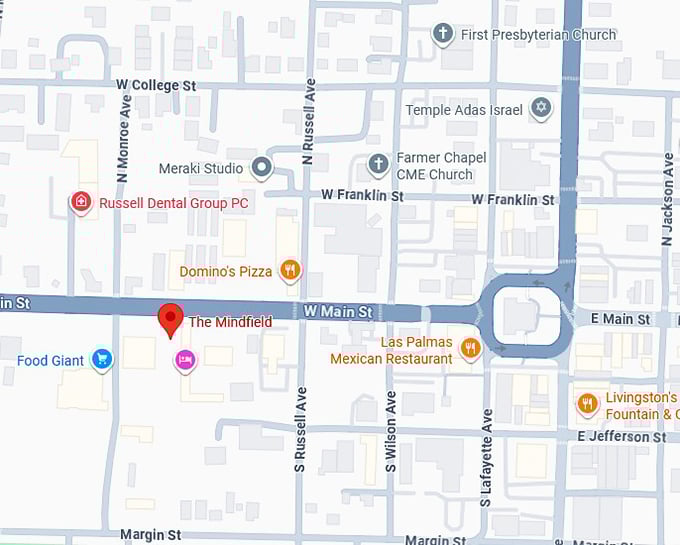 16. the mindfield map