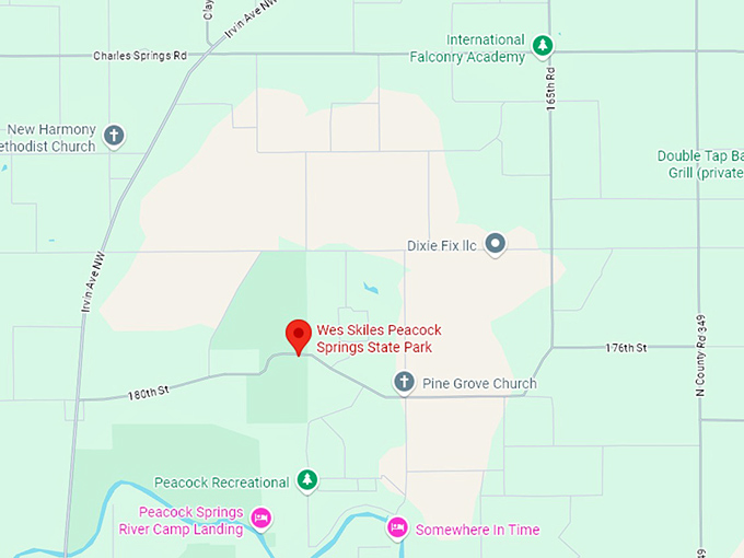 wes skiles peacock springs state park map