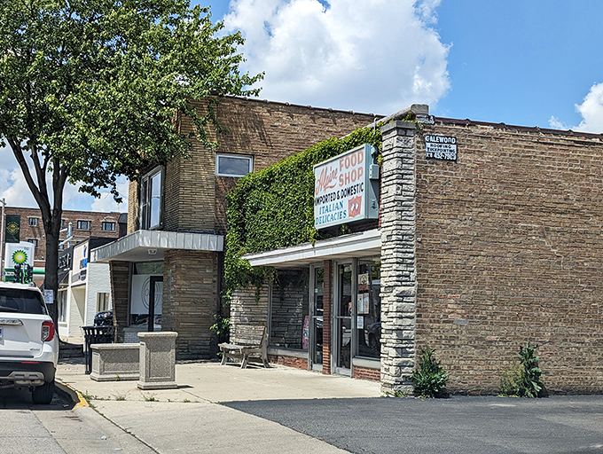 Alpine Food Shop: The unassuming brick exterior hides sandwich greatness within. Like finding a Picasso at a yard sale!