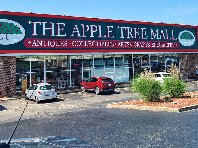 Look at that sign! Apple Tree Mall promises antiques, collectibles, and enough treasures to fill your entire weekend.