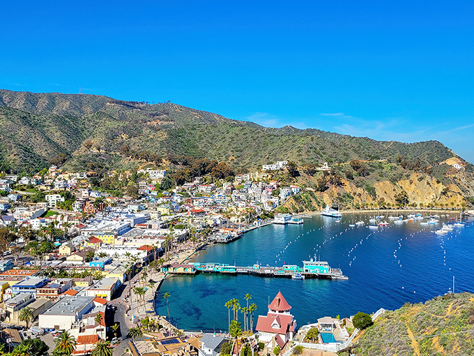 Avalon's harbor view is like a Mediterranean postcard come to life. Those colorful buildings climbing the hillside make you forget you're still in California!