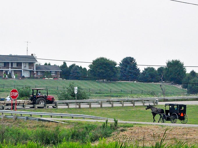 Where past meets present! An Amish buggy shares the road with a tractor in Berlin, showcasing Ohio's unique blend of traditional and modern farm life.