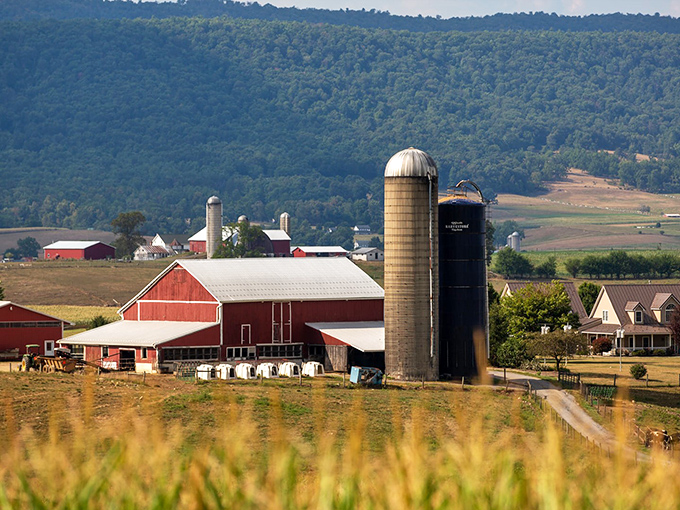 Classic Amish country postcard come to life! Red barns and towering silos dot Big Valley's landscape like something from a simpler time. 
