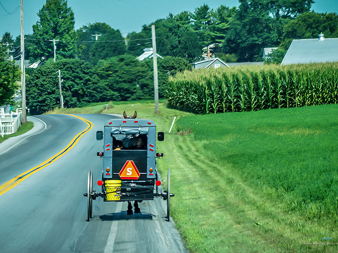 The classic Amish buggy scene &ndash; where rush hour means yielding to a horse that couldn't care less about your schedule.