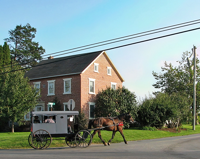 A classic Amish buggy clip-clops past a brick farmhouse - Bird-in-Hand's living postcard moment.