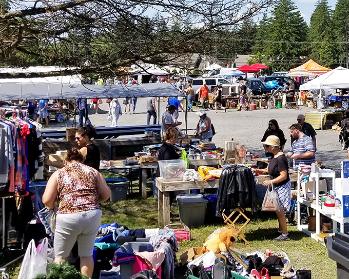 Treasure hunters paradise! Blue Ridge Flea Market's outdoor tables overflow with potential finds while shoppers navigate the maze of merchandise.