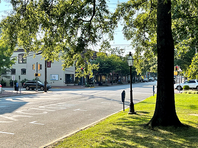 Tree-lined streets and historic buildings create Chestertown's timeless charm, where rushing feels like breaking an unspoken rule.