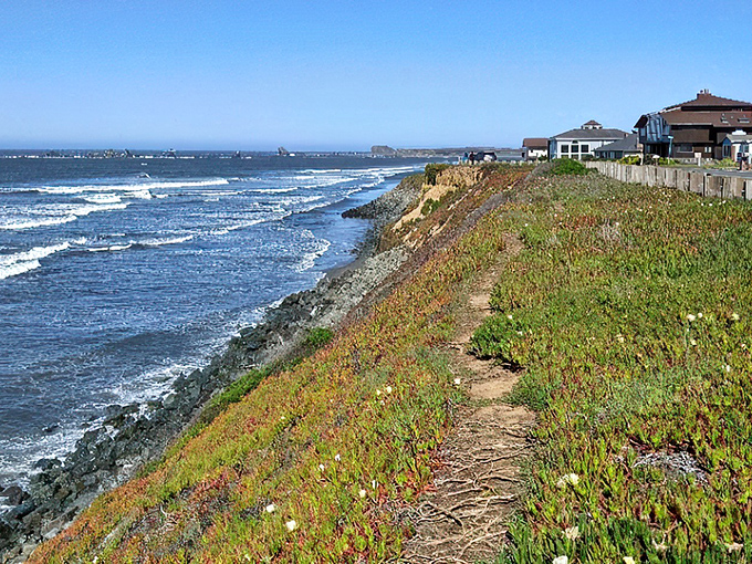 Crescent City's rugged coastline offers nature's daily drama show – crashing waves and endless horizons without admission fees.