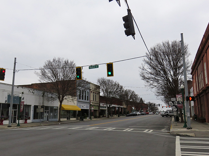 Main Street magic! Dublin's charming downtown looks like it was plucked from a Hallmark movie where your Social Security check actually goes the distance.