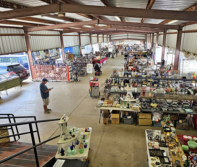 Treasure hunting paradise! Rows of vendor tables stretch into the distance at Canton's First Monday Trade Days, where one person's castoffs become another's prized possessions.
