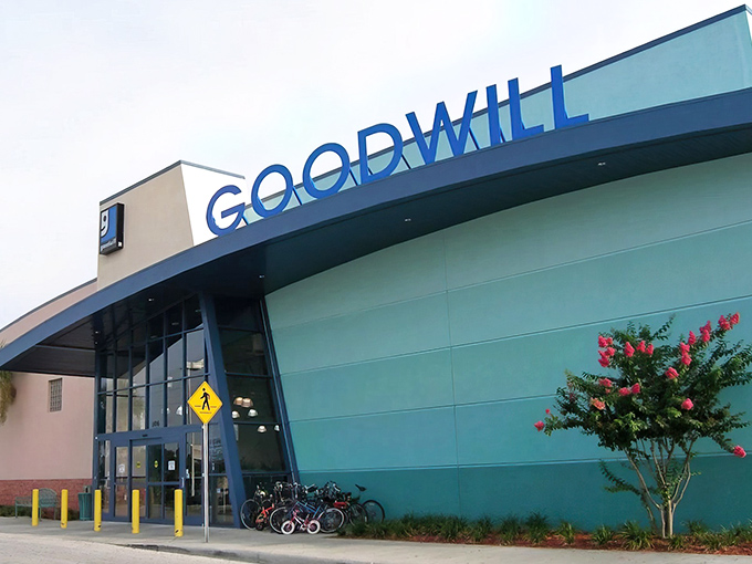 That familiar blue and white storefront promises treasure hunts that would make Indiana Jones jealous.