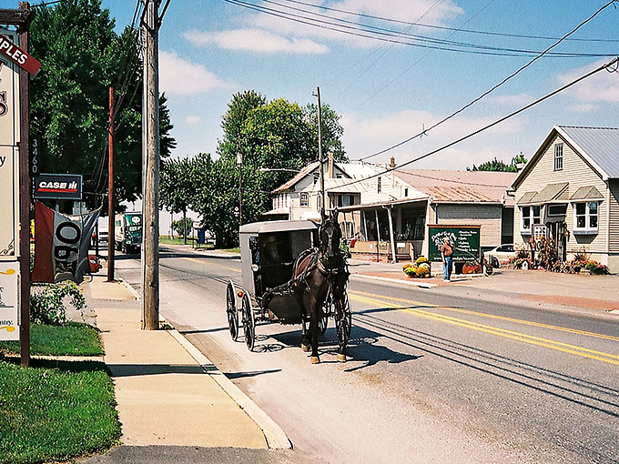 A classic Amish buggy navigates Main Street in Intercourse, where horse-drawn transportation and modern cars share the road in perfect harmony.
