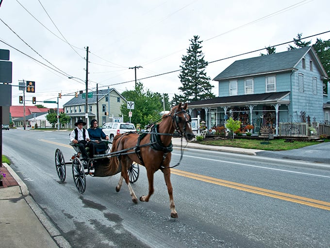 Horse and buggy trotting down Main Street in Intercourse &ndash; where rush hour means waiting for a family of ducks to cross the road.