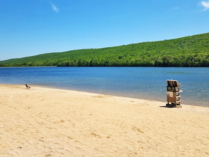 Golden sands meet crystal waters at Mauch Chunk Lake, where mountain views turn an ordinary beach day into a postcard-worthy escape.