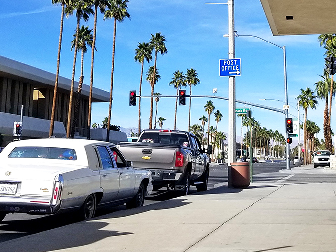 Palm trees line the street like nature's own welcome committee in this desert paradise.
