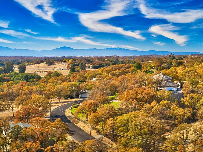 Golden hills roll like waves around Red Bluff, where autumn paints the landscape in hues that would make Bob Ross reach for his palette.