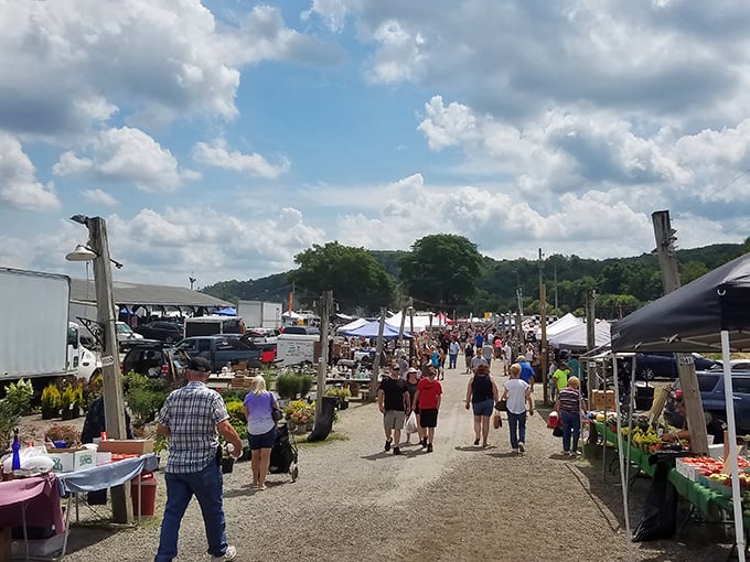 Treasure hunting paradise! Rows of vendors stretch into the horizon under blue Ohio skies, promising discoveries at every turn.