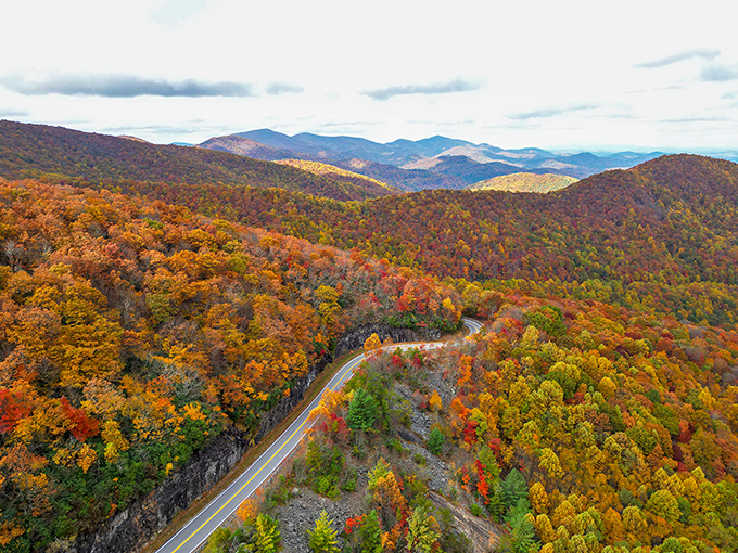 Fall's grand performance on the Russell-Brasstown Scenic Byway. Nature's paintbrush turns these mountains into a masterpiece worth the drive!