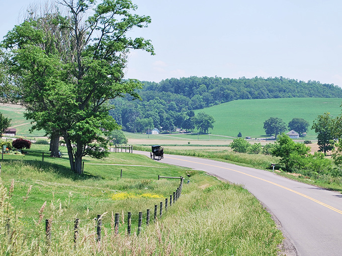 A horse and buggy travels down a winding country road in Sugarcreek, where time seems to slow down just enough to catch your breath.