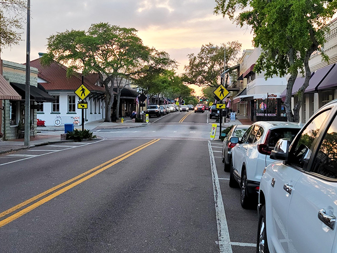 Golden hour magic transforms Tarpon Springs into a Mediterranean dream where ancient oaks whisper Greek secrets.