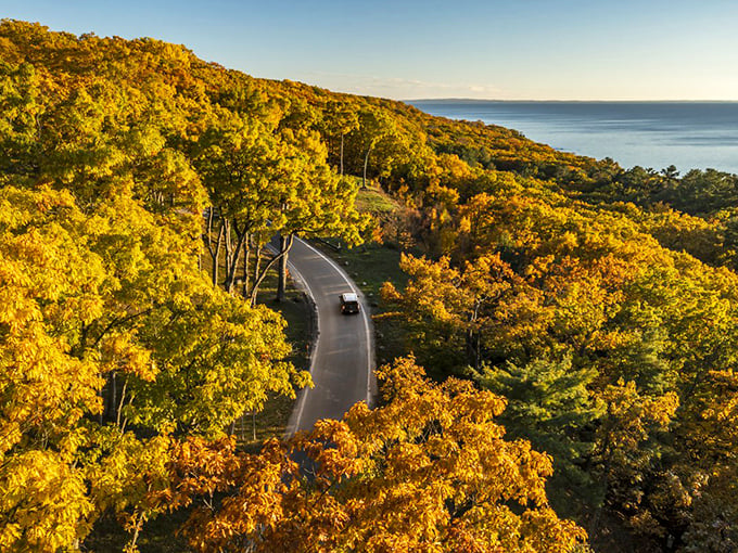 Fall's golden touch transforms the Tunnel of Trees into nature's cathedral. Pure Michigan magic around every curve!