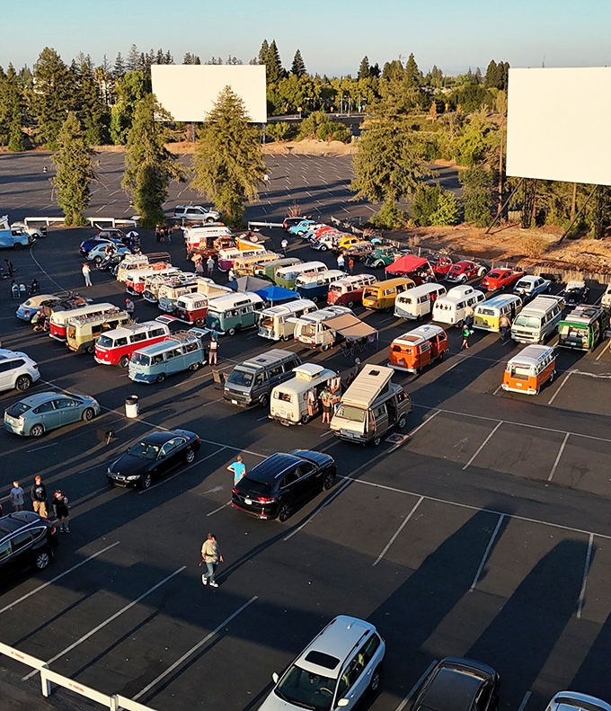 VW heaven! Classic vans gather for movie night at West Wind Sacramento, creating a colorful convoy of nostalgia under the big screen.