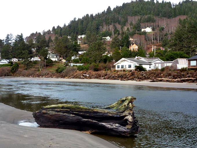 Coastal homes nestled against forested hills, where driftwood on the beach tells stories of ocean journeys.