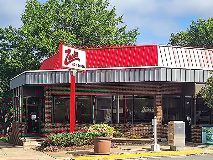 Zack's iconic red-roofed building stands like a hot dog lighthouse in Burlington, beckoning hungry travelers with its siren call of chili and mustard.