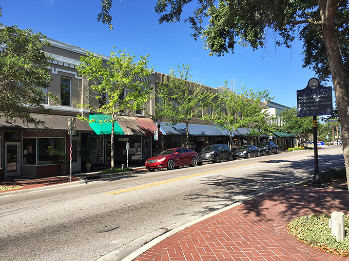 Tree-lined avenues create natural canopies where neighbors still wave from their porches.