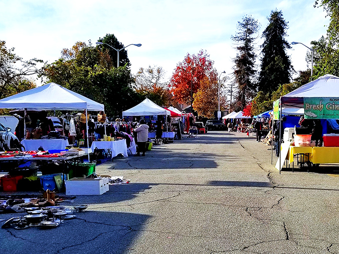 Fall colors frame this shopper's paradise. Berkeley's market transforms ordinary parking lots into lanes of possibility and discovery.