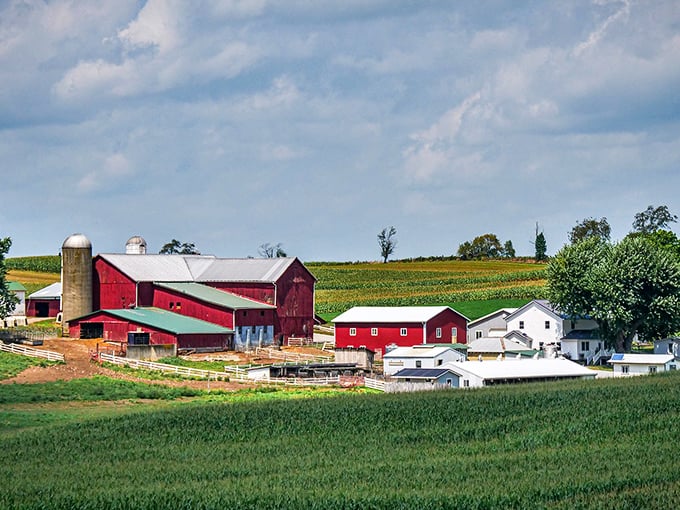 Red barns and white farmhouses dot the rolling hills of Amish Country, creating a patchwork quilt of rural perfection outside Berlin.