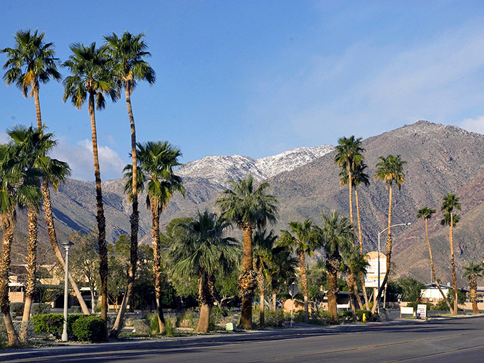 Snow-capped mountains peek over palm trees in Borrego Springs, where desert beauty meets small-town charm.