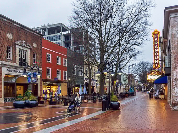Downtown pedestrian malls prove that sometimes the best conversations happen when cars stay away.