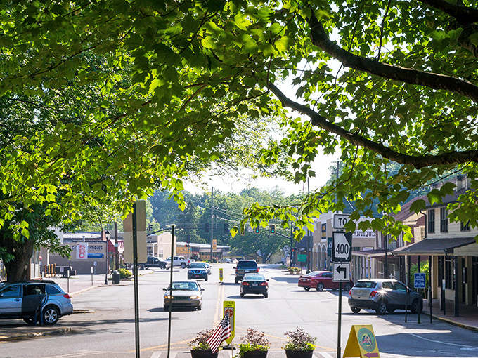 Leafy streets and small-town vibes – Dahlonega's tree-lined avenues invite you to slow down and remember what life was like before smartphones.
