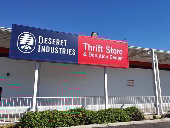 That blue and red sign beckons to bargain hunters like a lighthouse to ships. Adventure awaits inside!