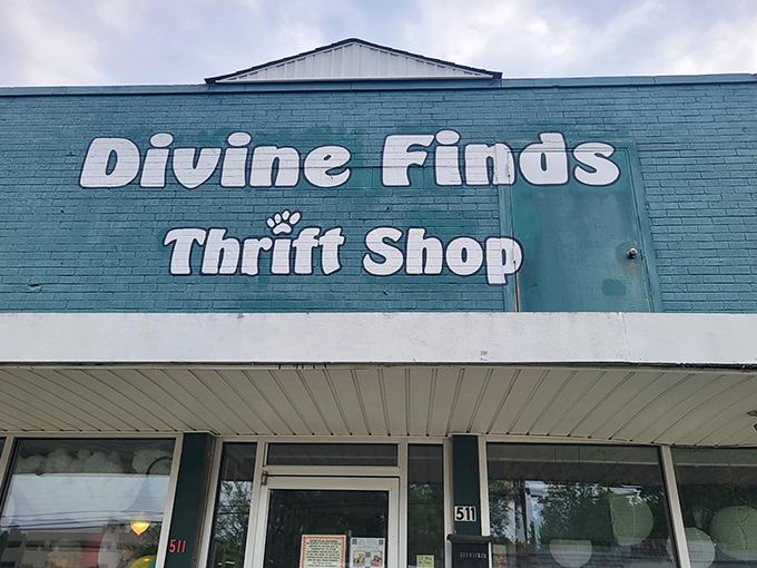 That little paw print in the Divine Finds logo hints at the warm, fuzzy feeling you'll get finding something special while supporting a good cause.